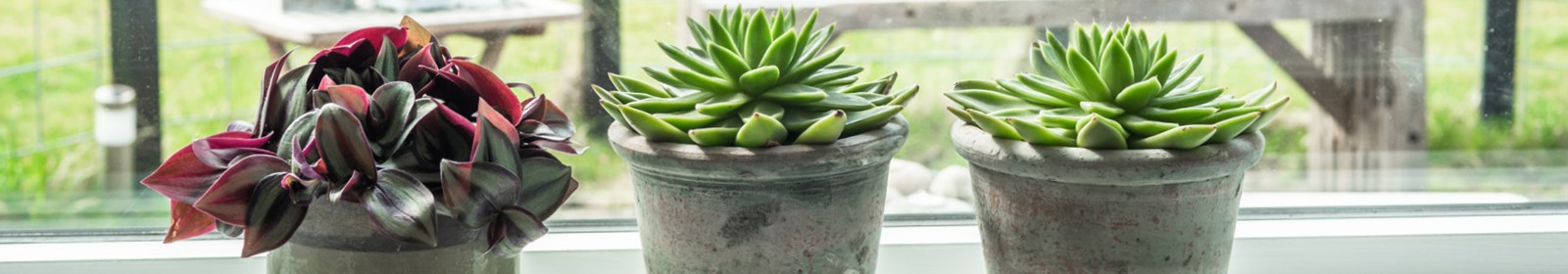 Put some spring back into your spring garden | Private Property