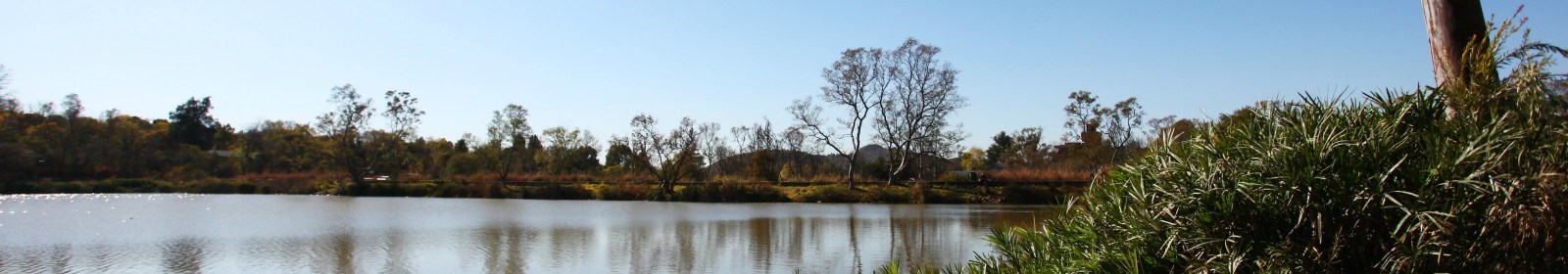 A guide to living in Menlyn | Private Property