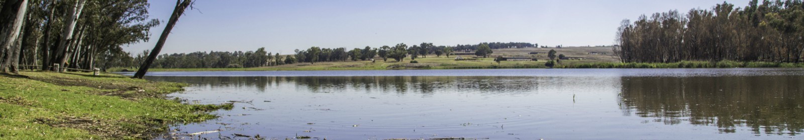 Area and property guide to Modderfontein | Private Property