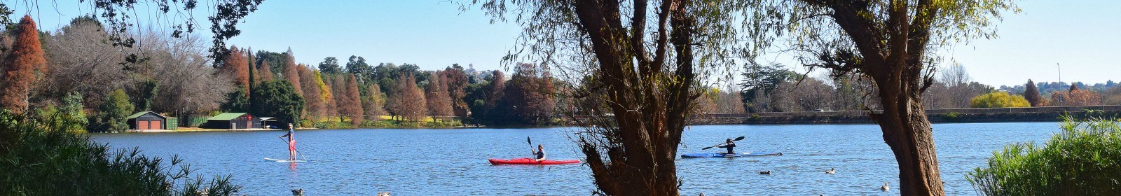 5 reasons why Northcliff is so sought-after | Private Property