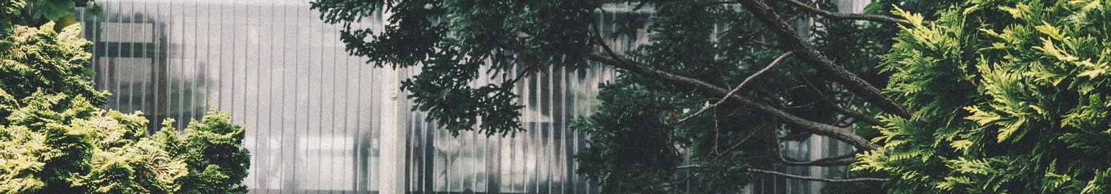 Create windbreaks in your garden | Private Property