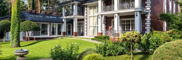 Meadow style gardens are making a comeback | Private Property