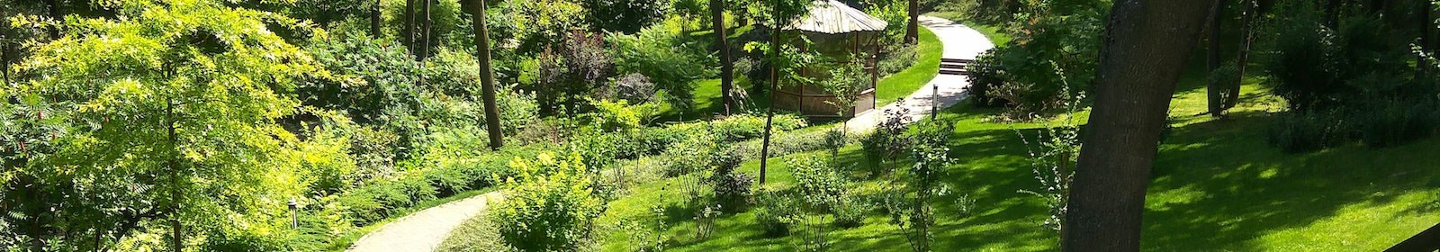 Tips for what to do in your garden in August | Private Property