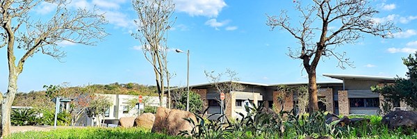 Explore the Westville Neighbourhood.